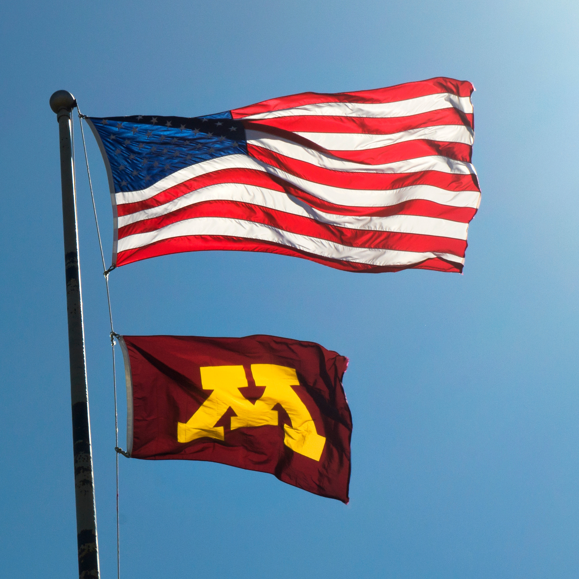 Getting Involved | Gopher Guide